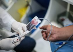 Hemorio terá mais dois pontos de doação de sangue na capital - Conexão ...